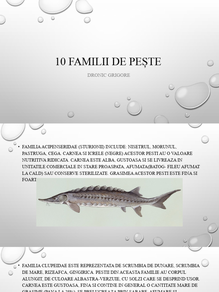 Prezentare | PDF