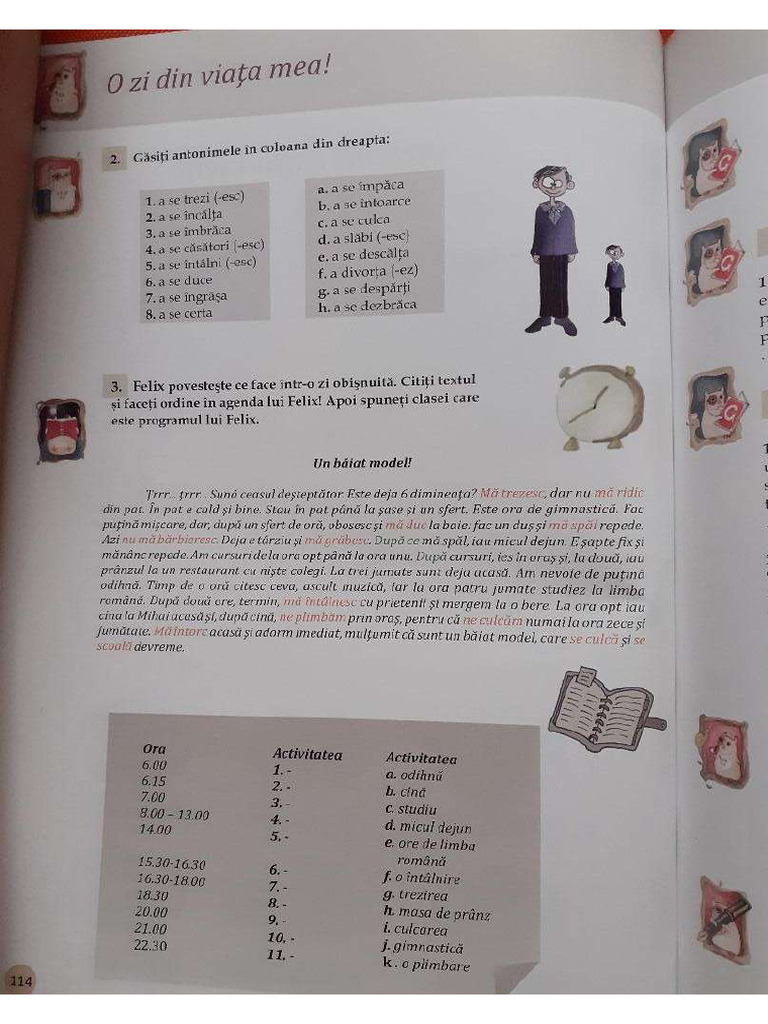 Program Zilnic | PDF