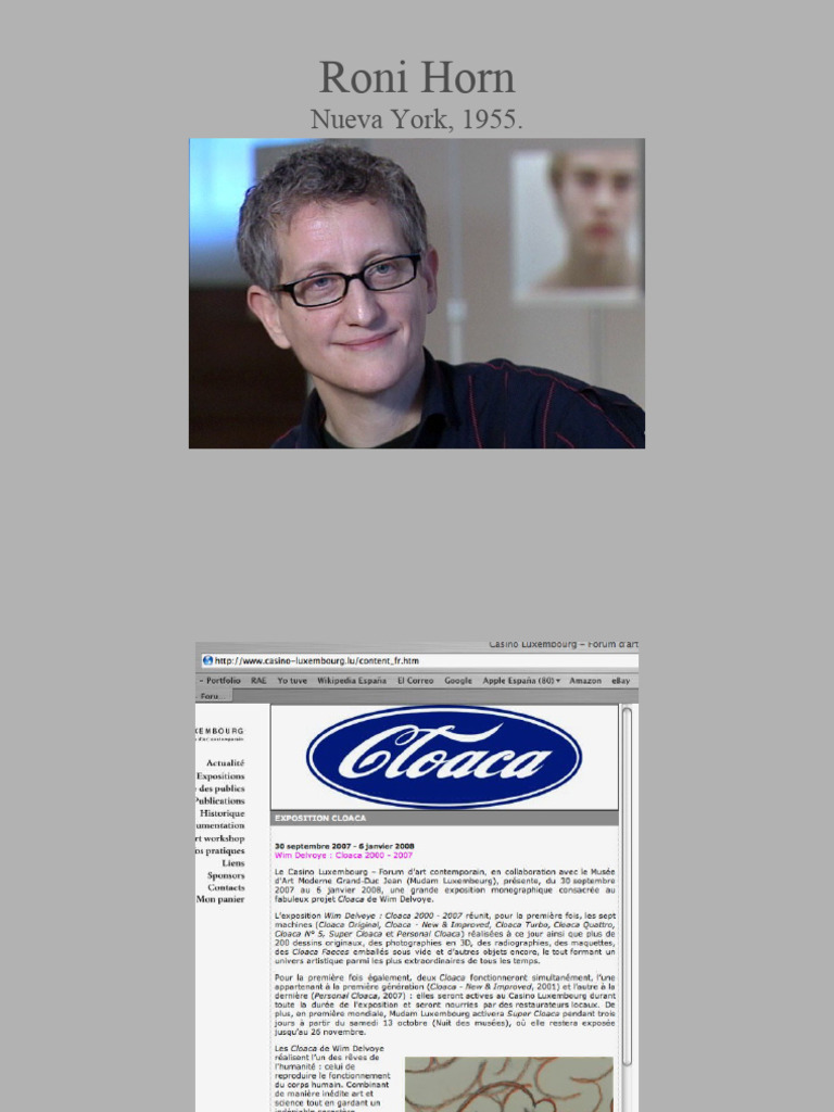 Roni Horn Definitivo | PDF | Artistas | Artistas americanos