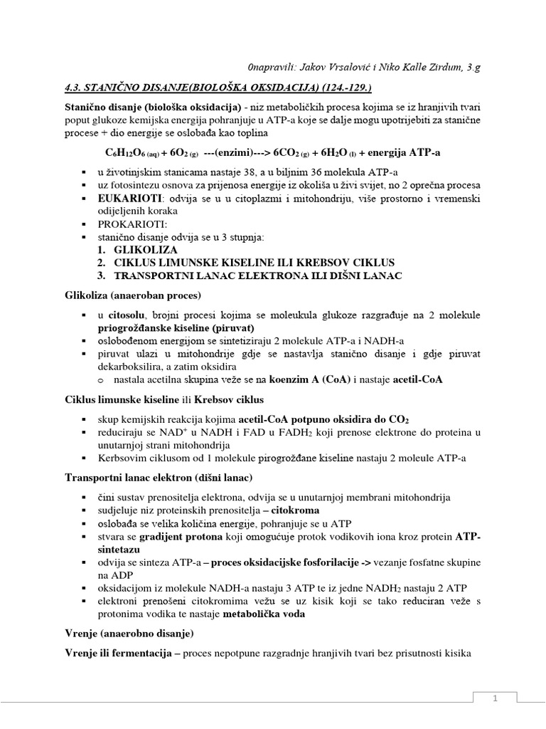 Homeostaza I Metabolizam | PDF