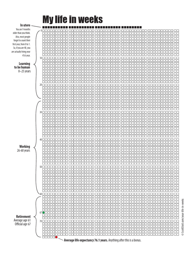 Life in Weeks: A 90-Year Overview | PDF