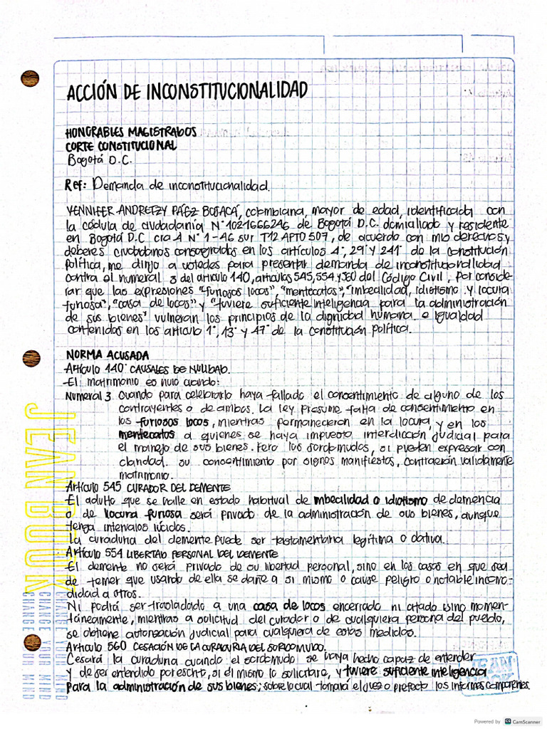 Demanda de Inconstitucionalidad Palabras Peyorativas en El Codigo Civil ...