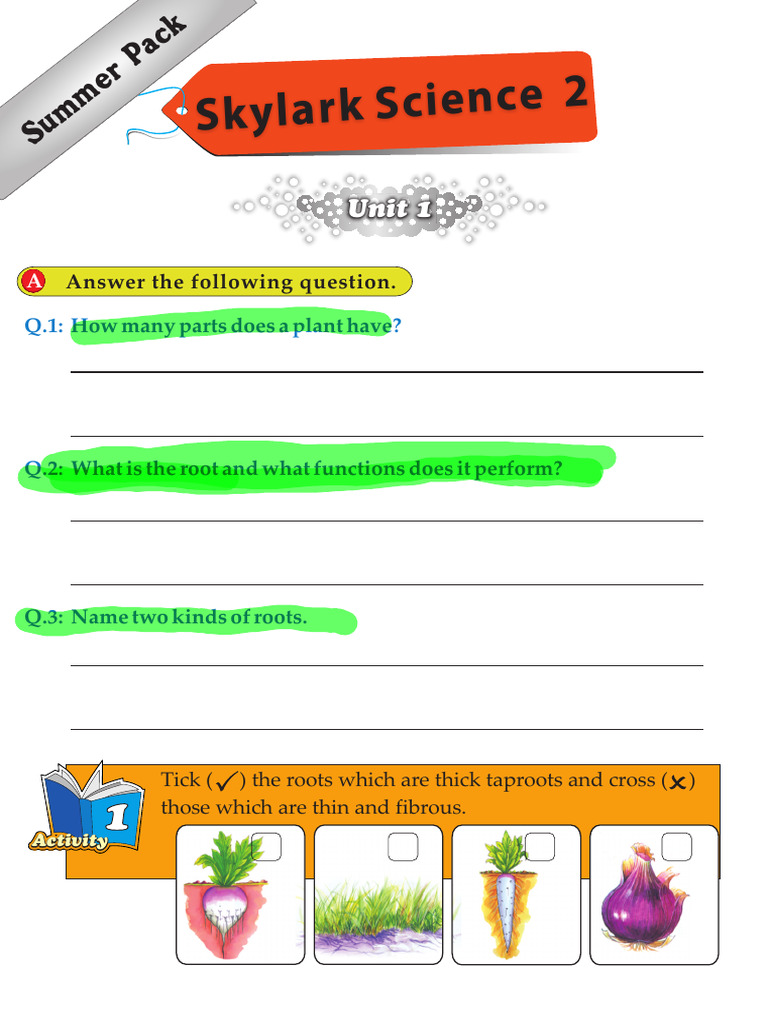 Science Summer Pack | PDF | Habitat | Plants