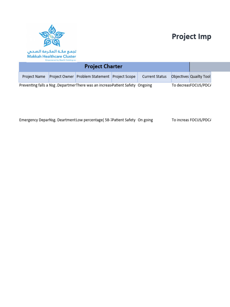 Project Improvement Plan 2024(Cluster) | PDF | Patient Safety | Nursing