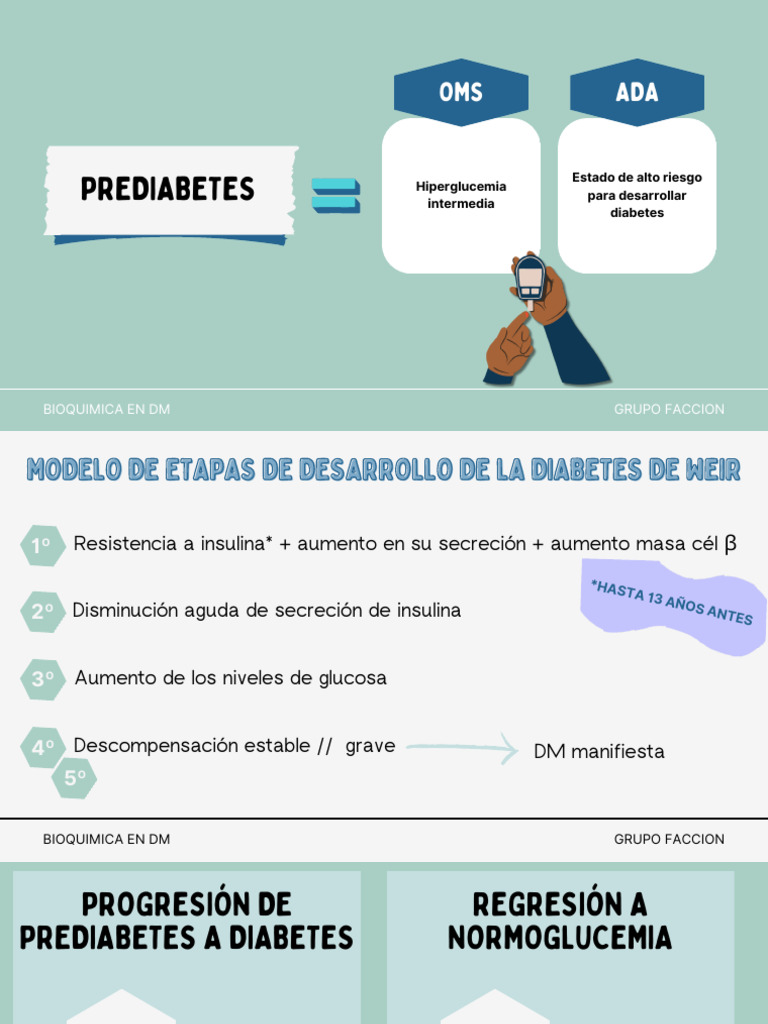 Prediabetes: Riesgos y Tratamientos | PDF | Diabetes | Prediabetes