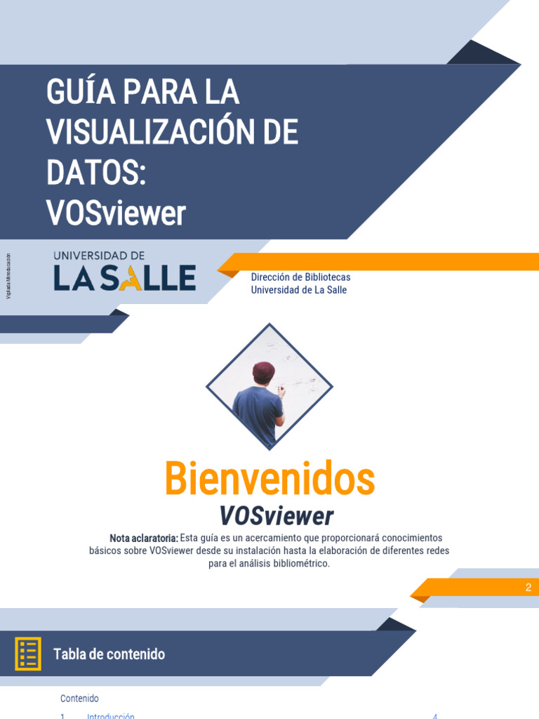 Guía de VOSviewer para Visualización de Datos | PDF | Ventana ...
