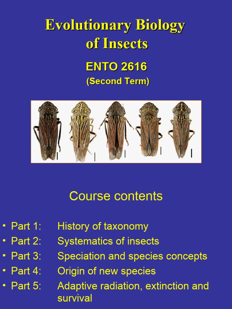 Insect Evolutionary Biology Course Overview | PDF | Species | Taxonomy ...