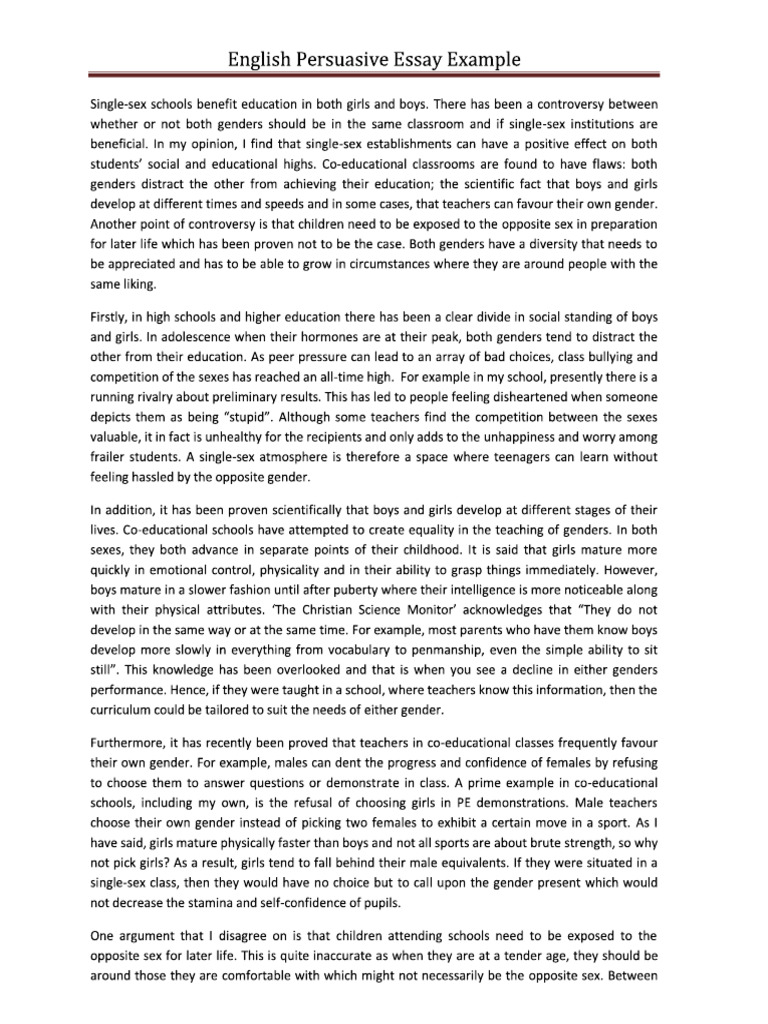 Sample Persuasive Essay | PDF