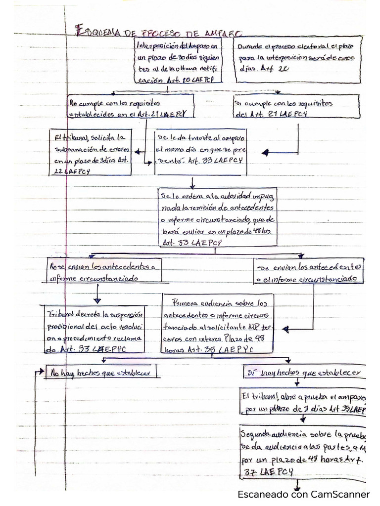 Esquema Del Proceso de Amparo | PDF