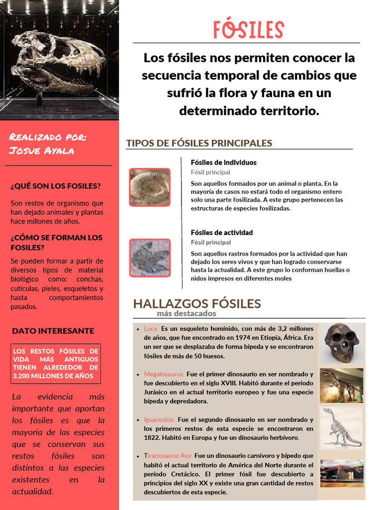 Los Fosiles | PDF | Fósil | Dinosaurios