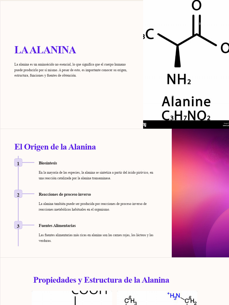 Funciones y Fuentes de Alanina | PDF | Alanina | Proteínas