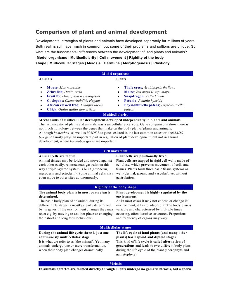 Comparison of Plant and Animal Development | PDF