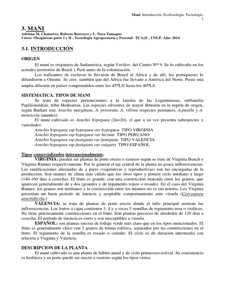 Características y Cultivo del Maní | PDF | Flores | Miseria