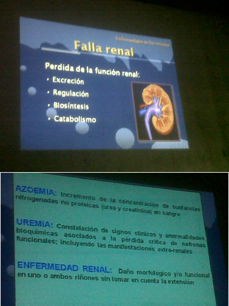Falla Renal | PDF