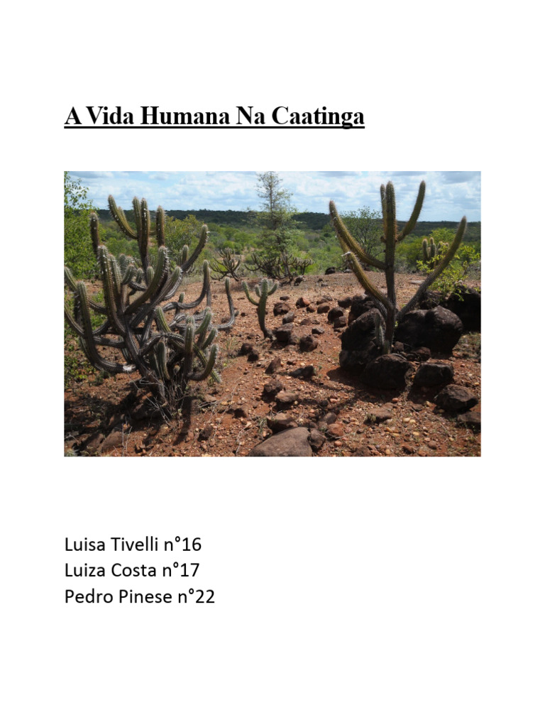 Vida e Cultura na Caatinga | PDF | Agricultura | Caldo