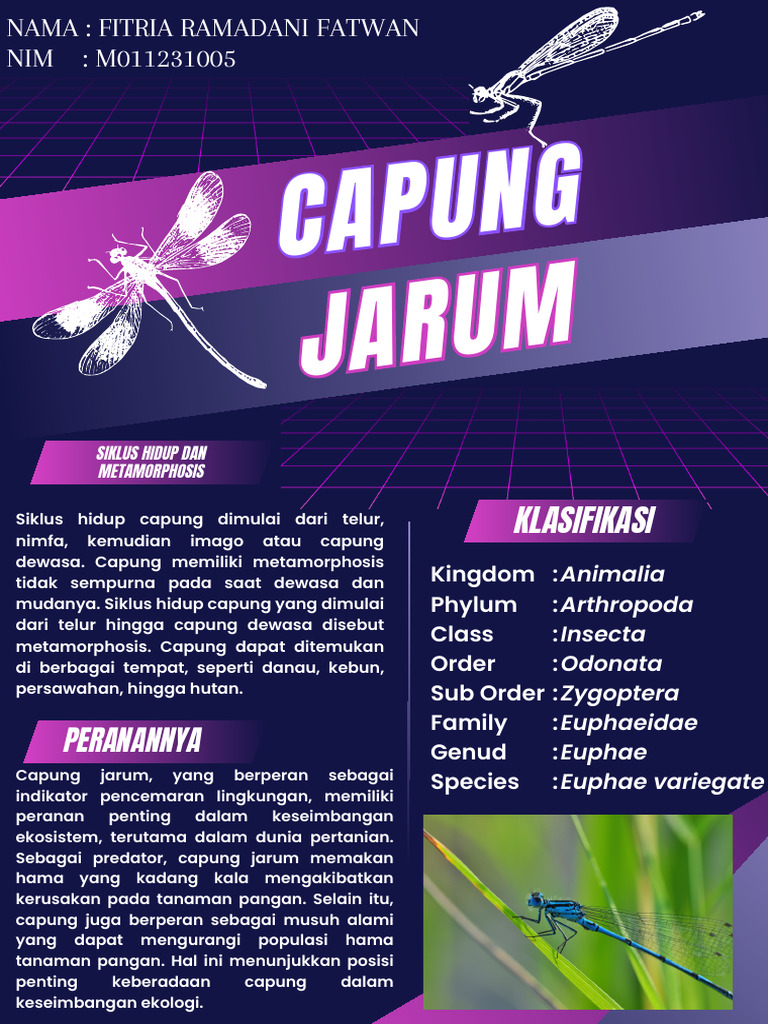 Poster Entomologi | PDF | Griya & Taman | Kesehatan Holistik