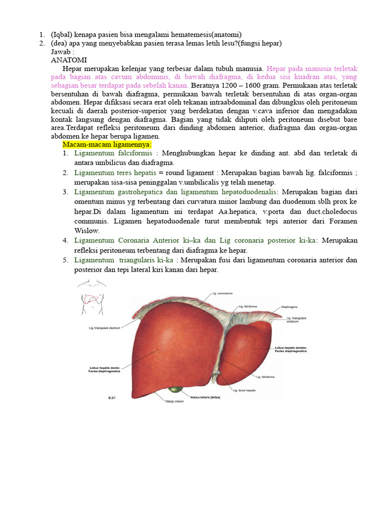 Li LBM 1 Faisya Masdigest | PDF