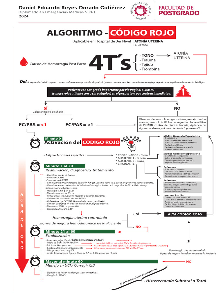 Codigo Rojo Algoritmoo - Daniel E. Reyes Dorado G. | PDF | Parto | Choque (circulatorio)