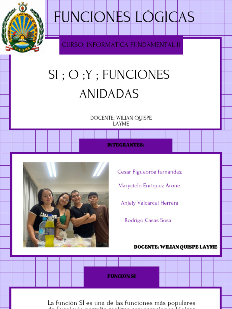 Funciones Logicas | PDF | Microsoft Excel | Función (Matemáticas)