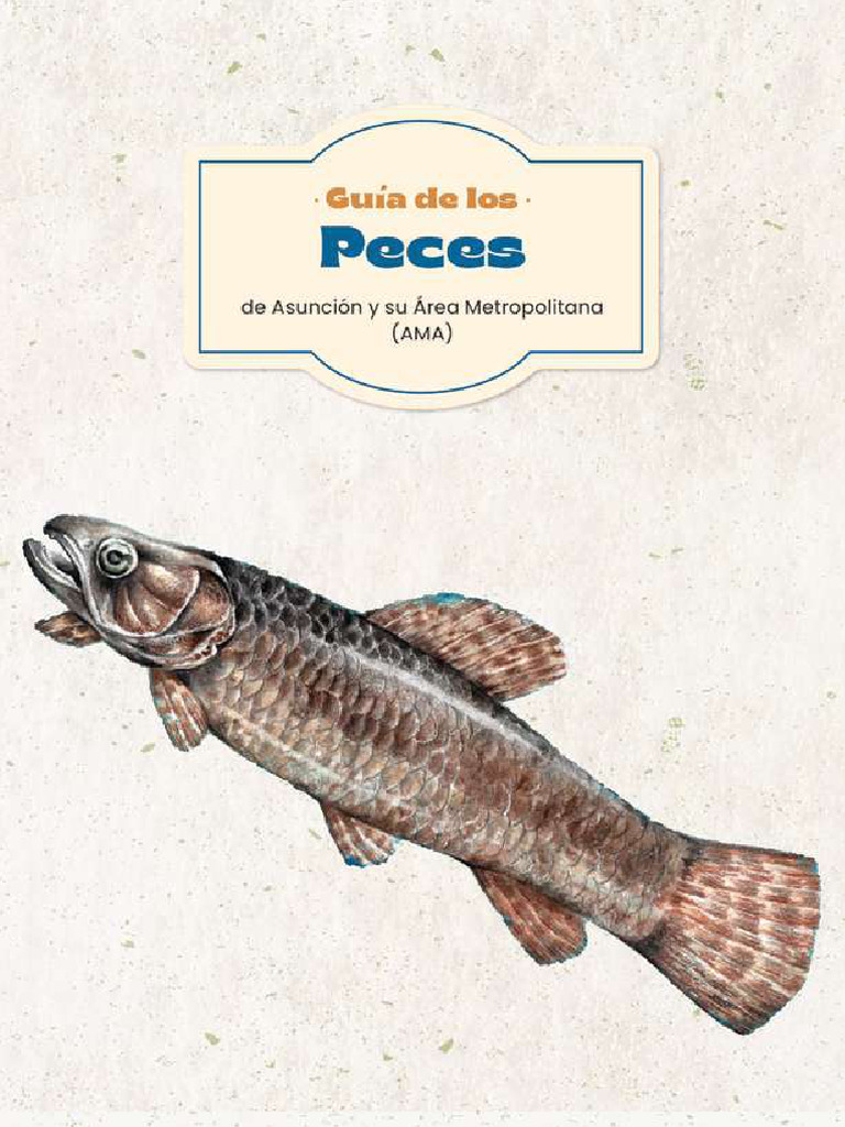 Guía de Peces | PDF | Taxonomía (biología) | Paraguay