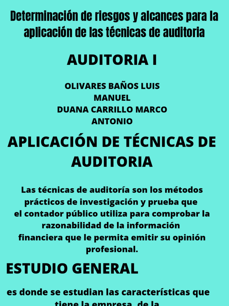 Determinación de riesgos y alcances para la aplicación de las técnicas de auditoria | PDF ...