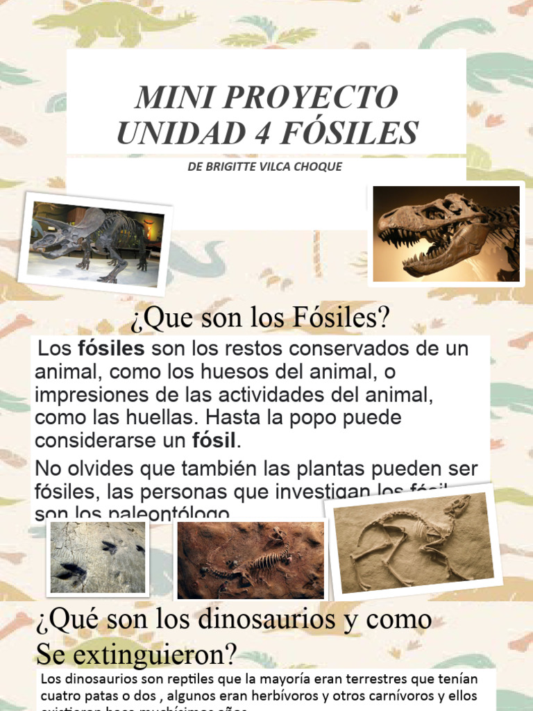 Mini Proyecto Unidad 4 Fósiles | PDF
