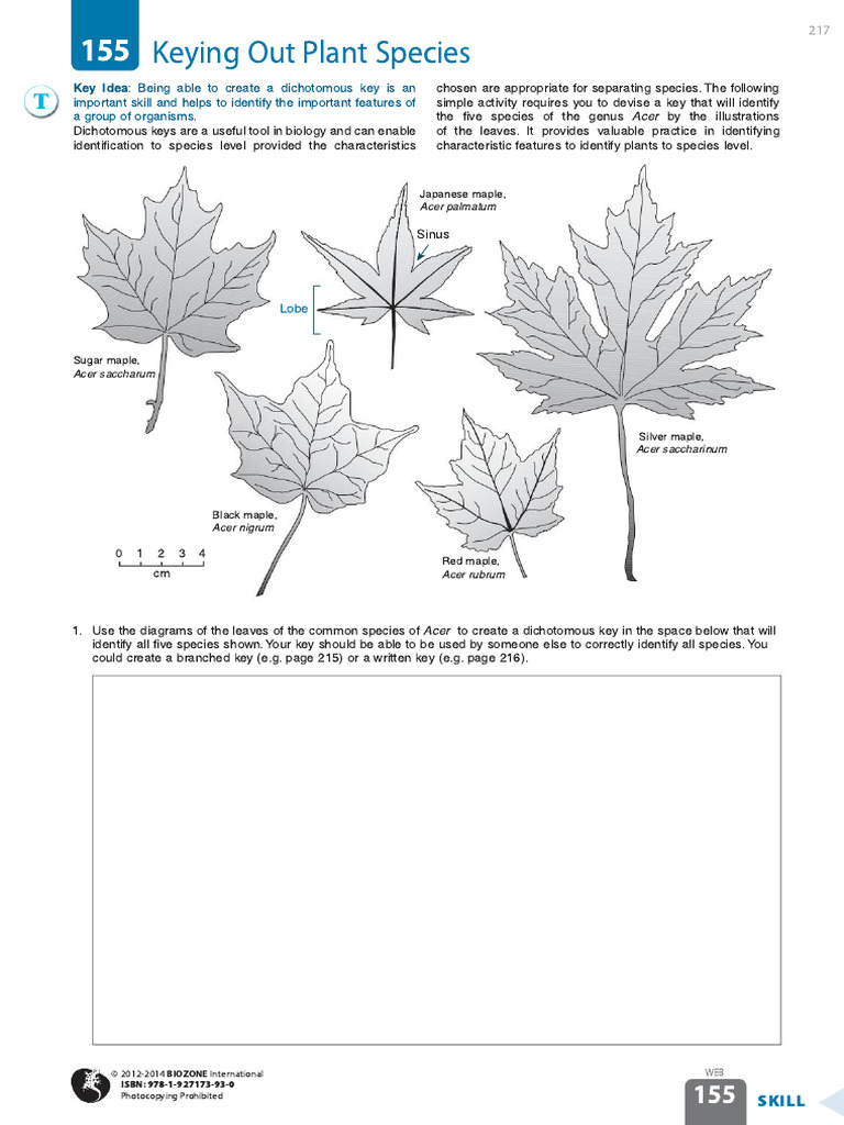 155 Keying Out Plant Species | PDF