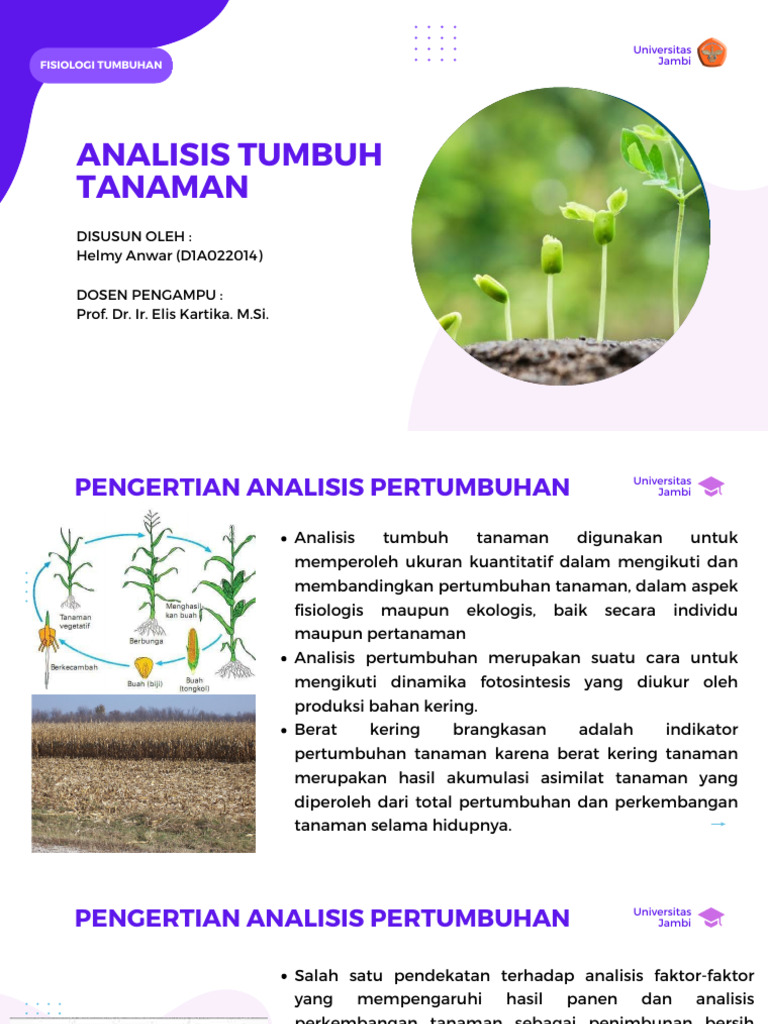 Analisis Pertumbuhan Tanaman | PDF