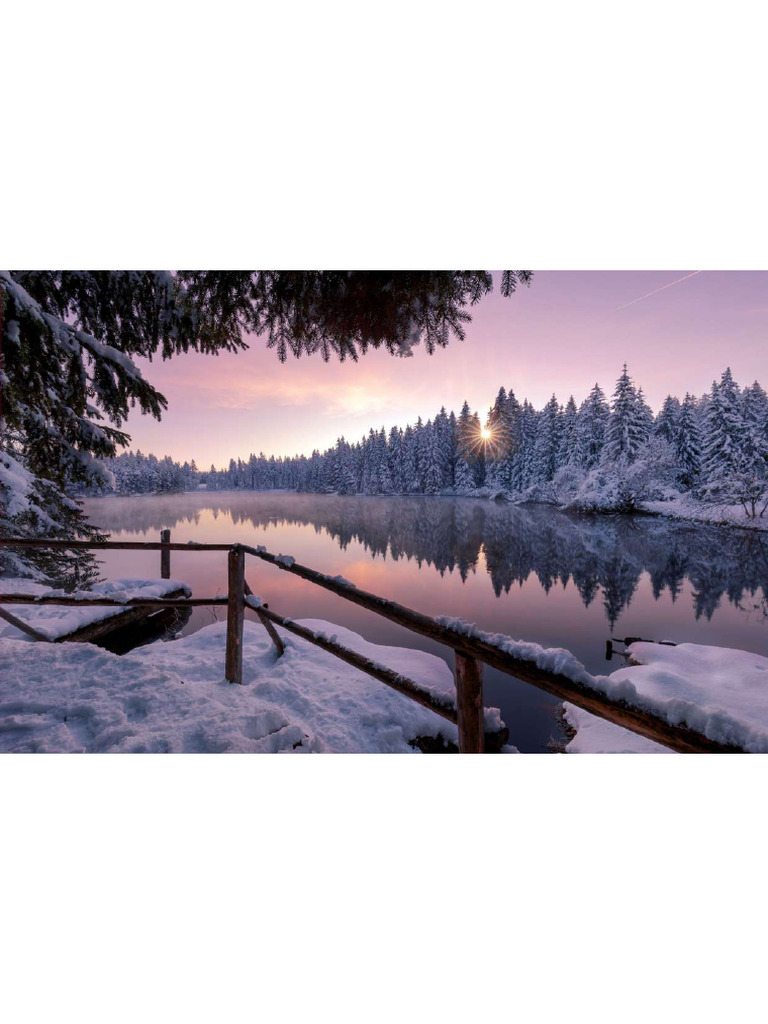 Winter Snow Trees Nature Outdoors Ar | PDF Winter Snow Trees Nature Outdoors Ar | PDF
