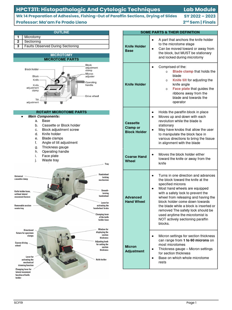 HPCT311 LAB WK13 Microtomy - Sectioning | PDF | Tools