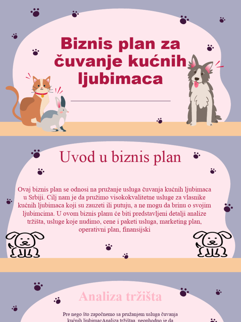 Biznis Plan | PDF