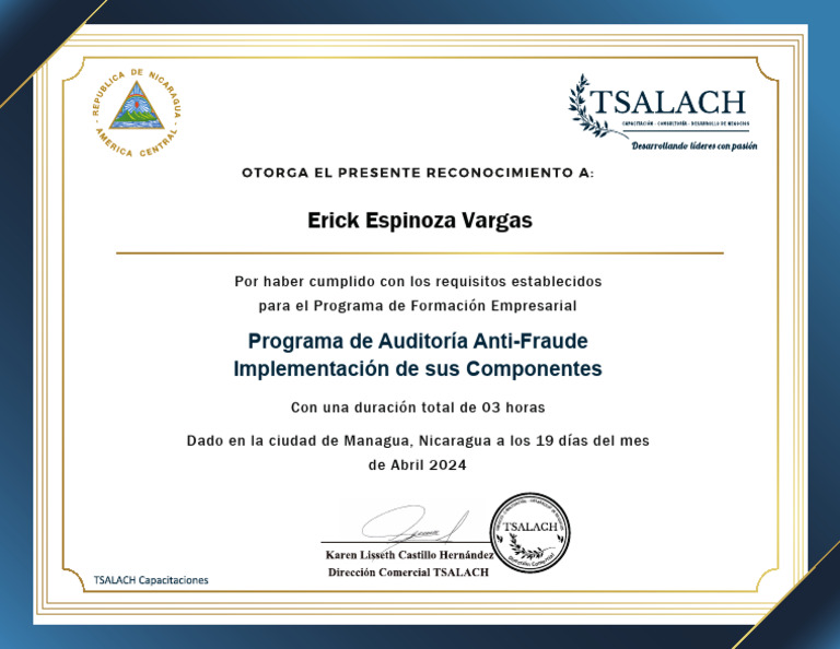 Certificado Auditoria Forense - Erick | PDF