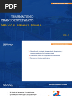 Nanda Nic Noc | PDF | Dolor | Cerebro