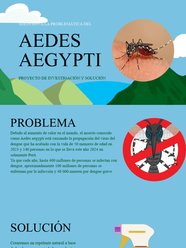 Aedes Aegypti - 20240502 - 061959 - 0000 | PDF | Aedes aegypti | Medicina CLINICA