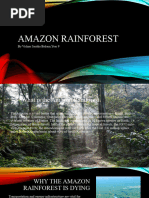 Amazon Deforestation Data and Graphs | PDF | Amazon Rainforest | Deforestation