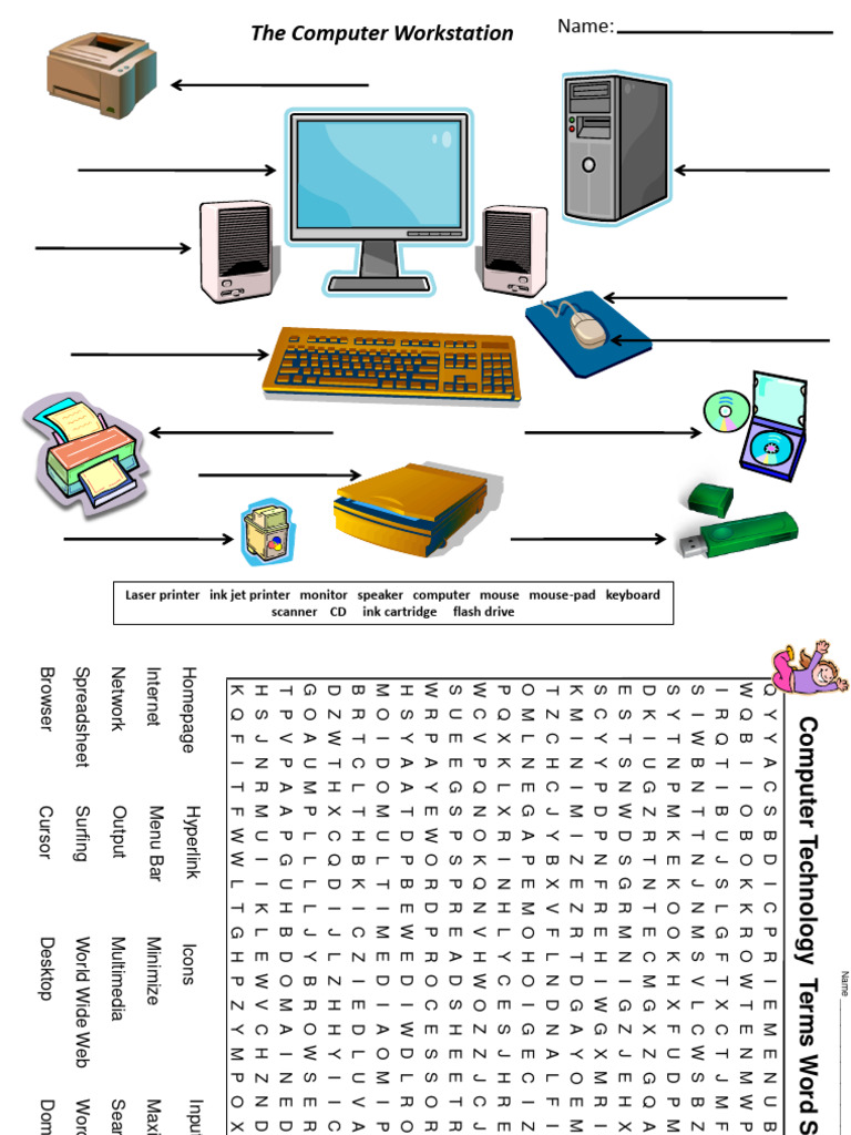 The Computer Workstation | PDF | Computer Hardware | Computer Keyboard