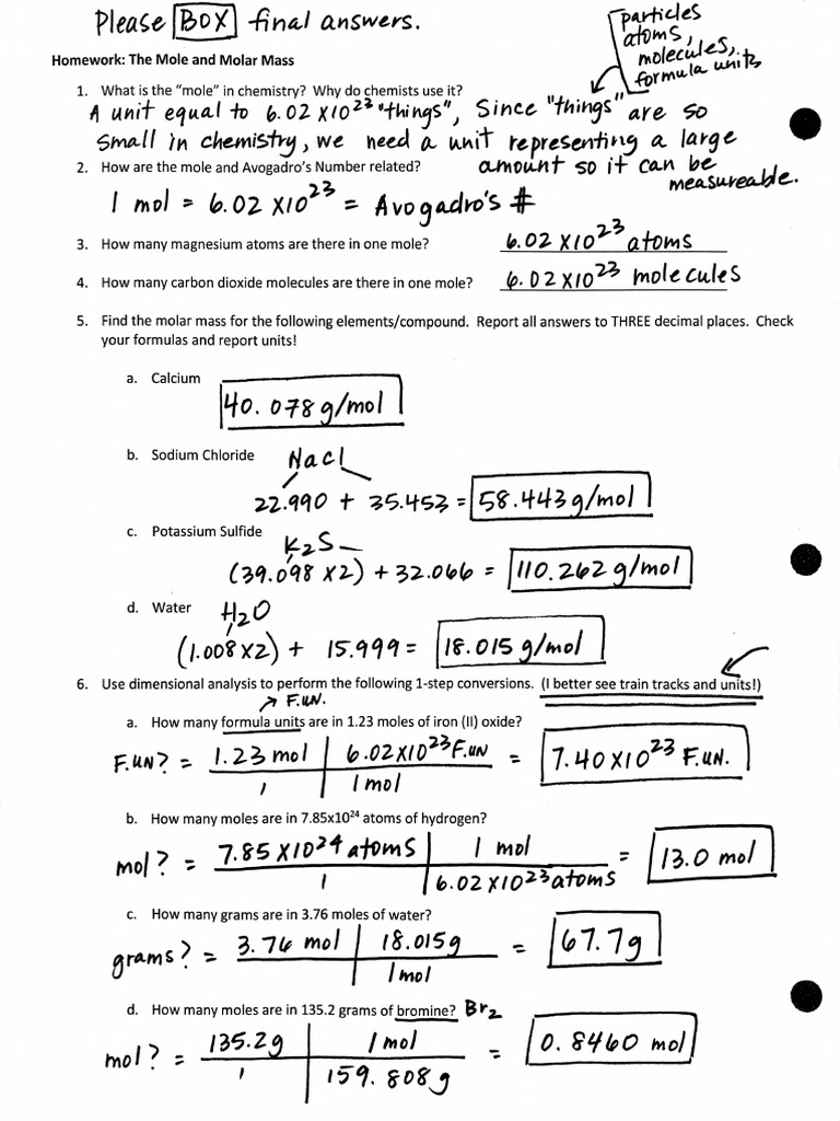 HW Mole & Molar Mass KEY | PDF