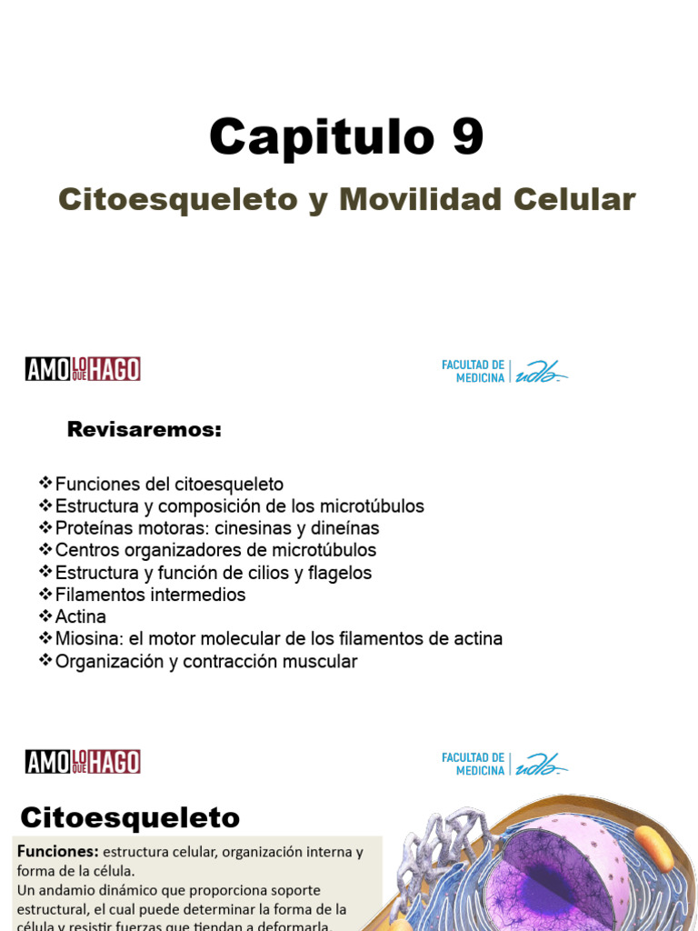 Biologia Molecular y Celular Cap 9 | PDF | Microtúbulos | Citoesqueleto