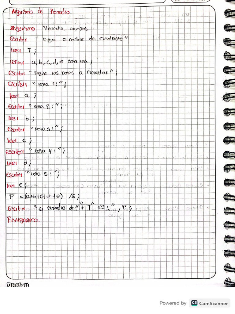 Taller Algoritmos Pdf 
