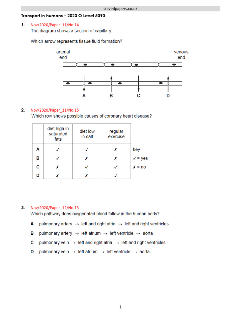 2020 Transport in Humans O Level 5090 | PDF