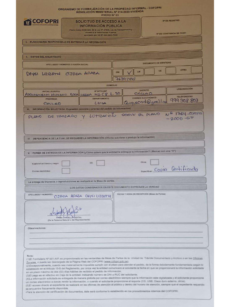 LLENADO COFOPRI PLANOS | PDF
