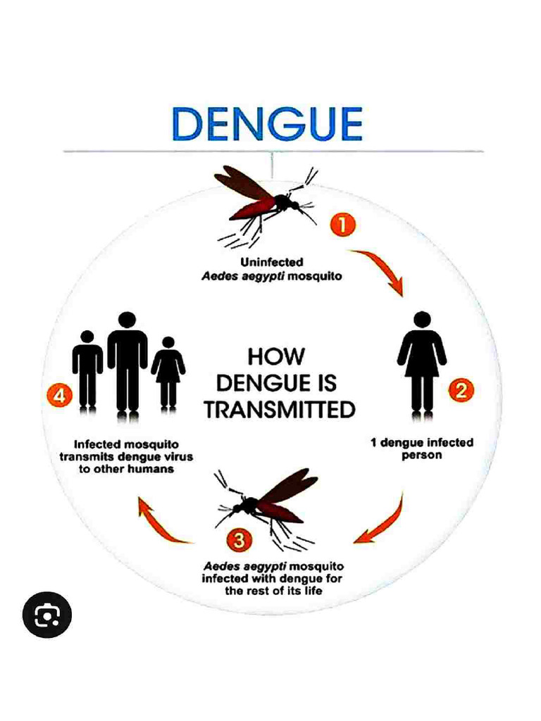 Dengue | PDF