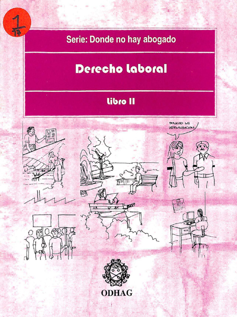 Derecho Laboral | PDF | Derecho laboral | Salario