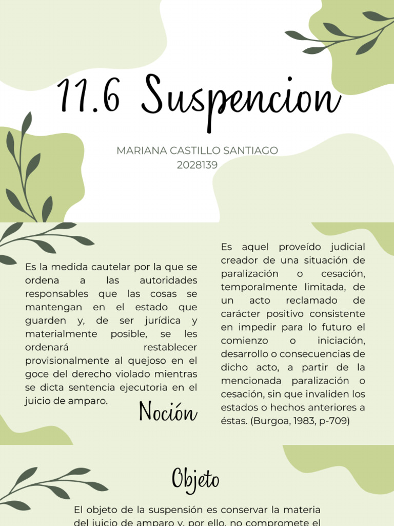 Presentación de Amparo | PDF