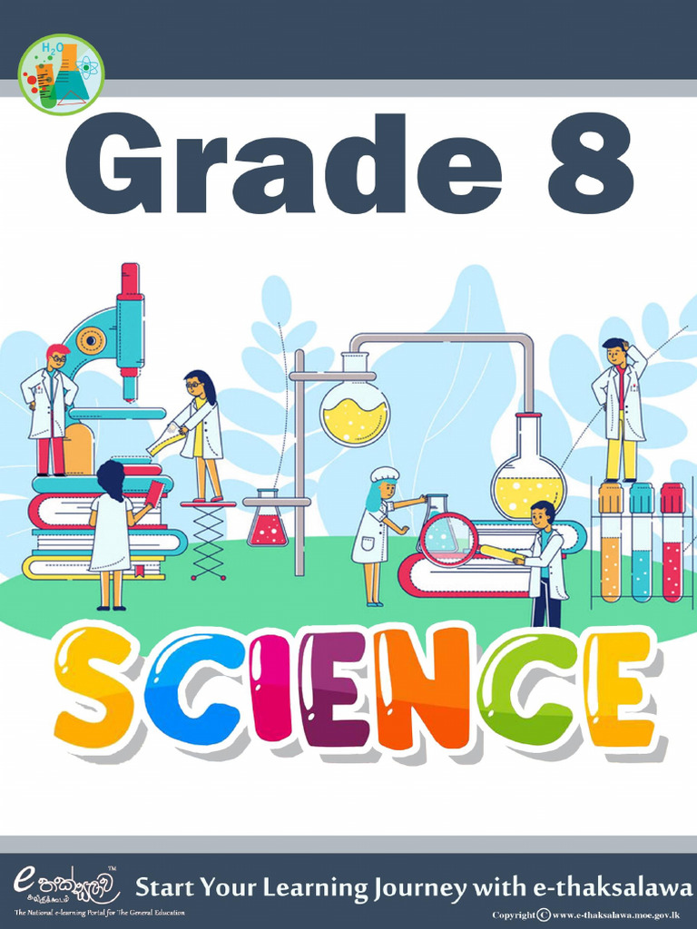 Grade 8 Magnetism Activities Guide | PDF | Magnet | Magnetism