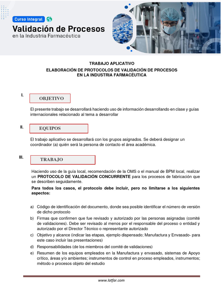 Lineamientos Trabajo Aplicativo Curso Validacion de Procesos 2024 | PDF ...