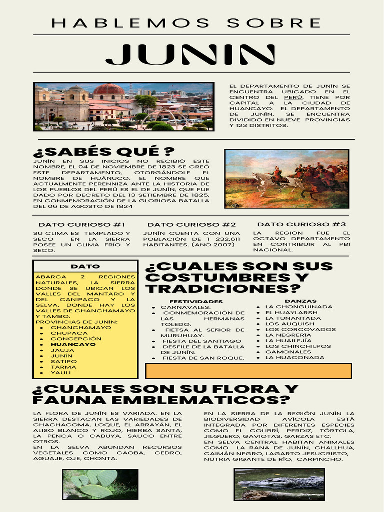 Infografía de Periódico Moderno Ordenado Colorido | PDF