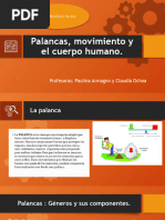 Biomecanica Sistema de Palancas Que Es Tipos y Conceptos Basicos | PDF ...