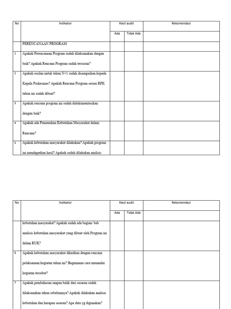 Audit Perencanaan dan Pelaksanaan Program | PDF