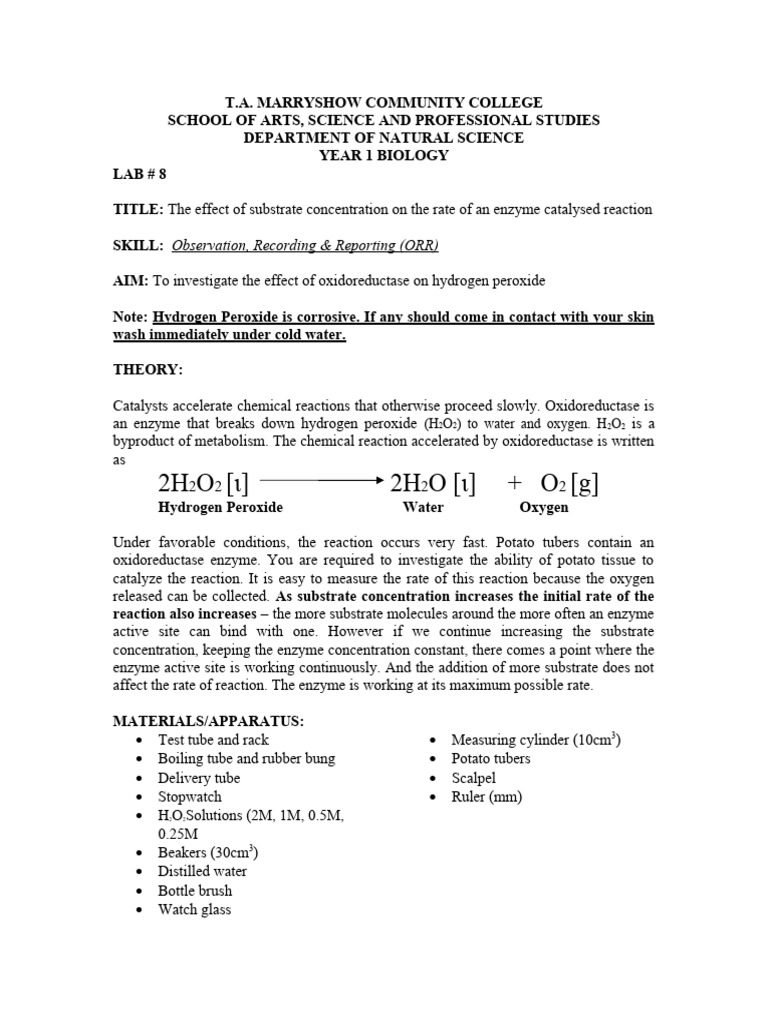 Effect of (Substrate) Concentration | PDF | Substrate (Chemistry) | Enzyme